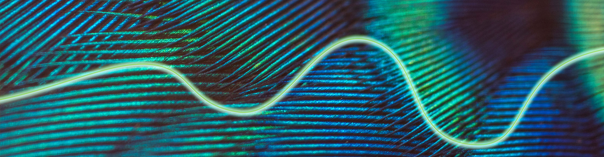 Intelligent Apps - Elastacloud