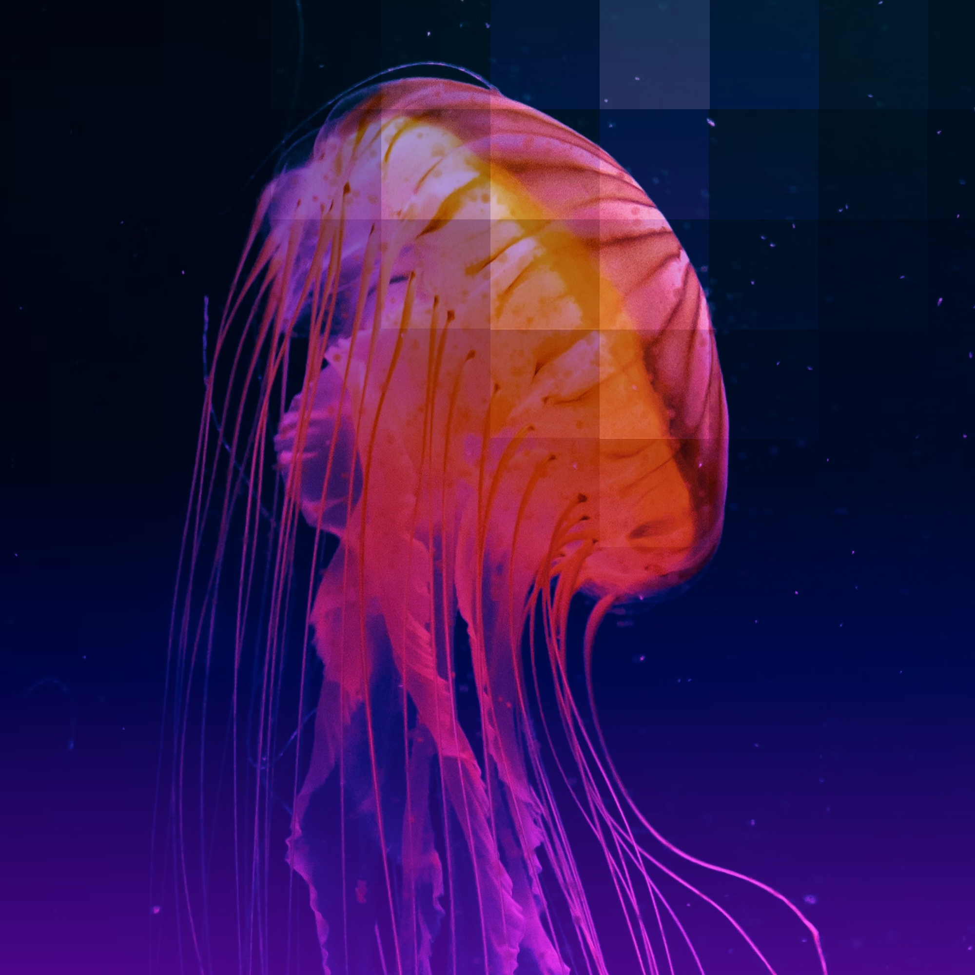 Leading the Way in Sustainability - v1 - Elastacloud