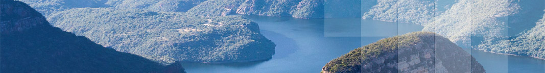 Leading the Way in Sustainability - Elastacloud